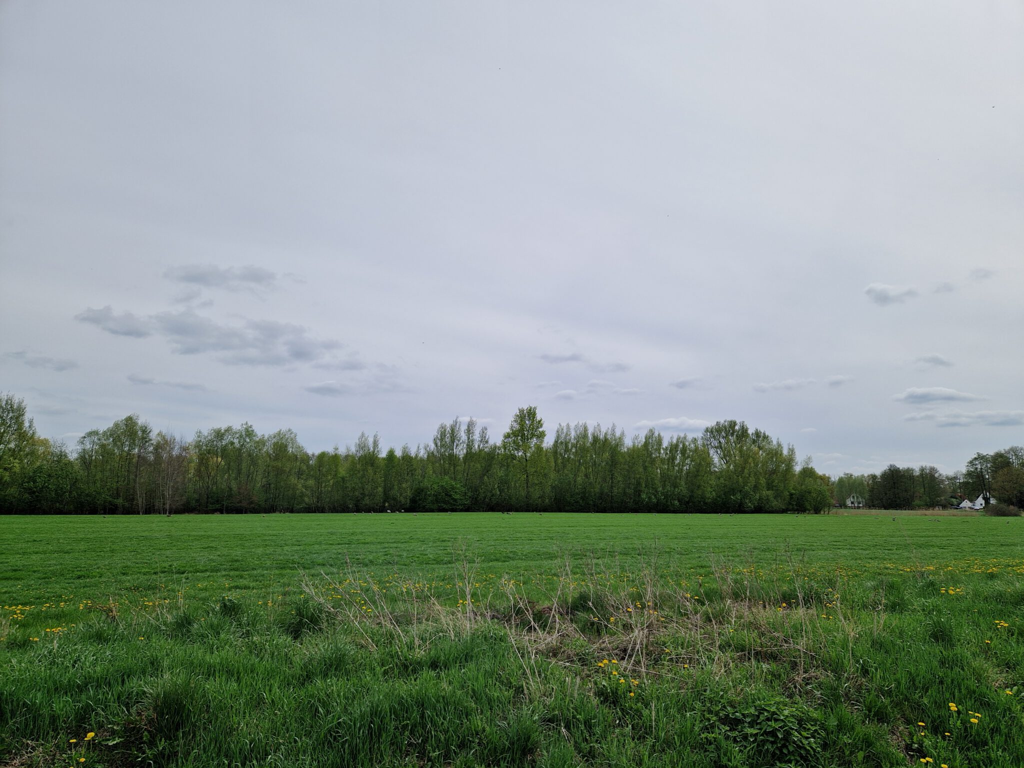 Die Gemeinde Drage - Gemeinde Drage